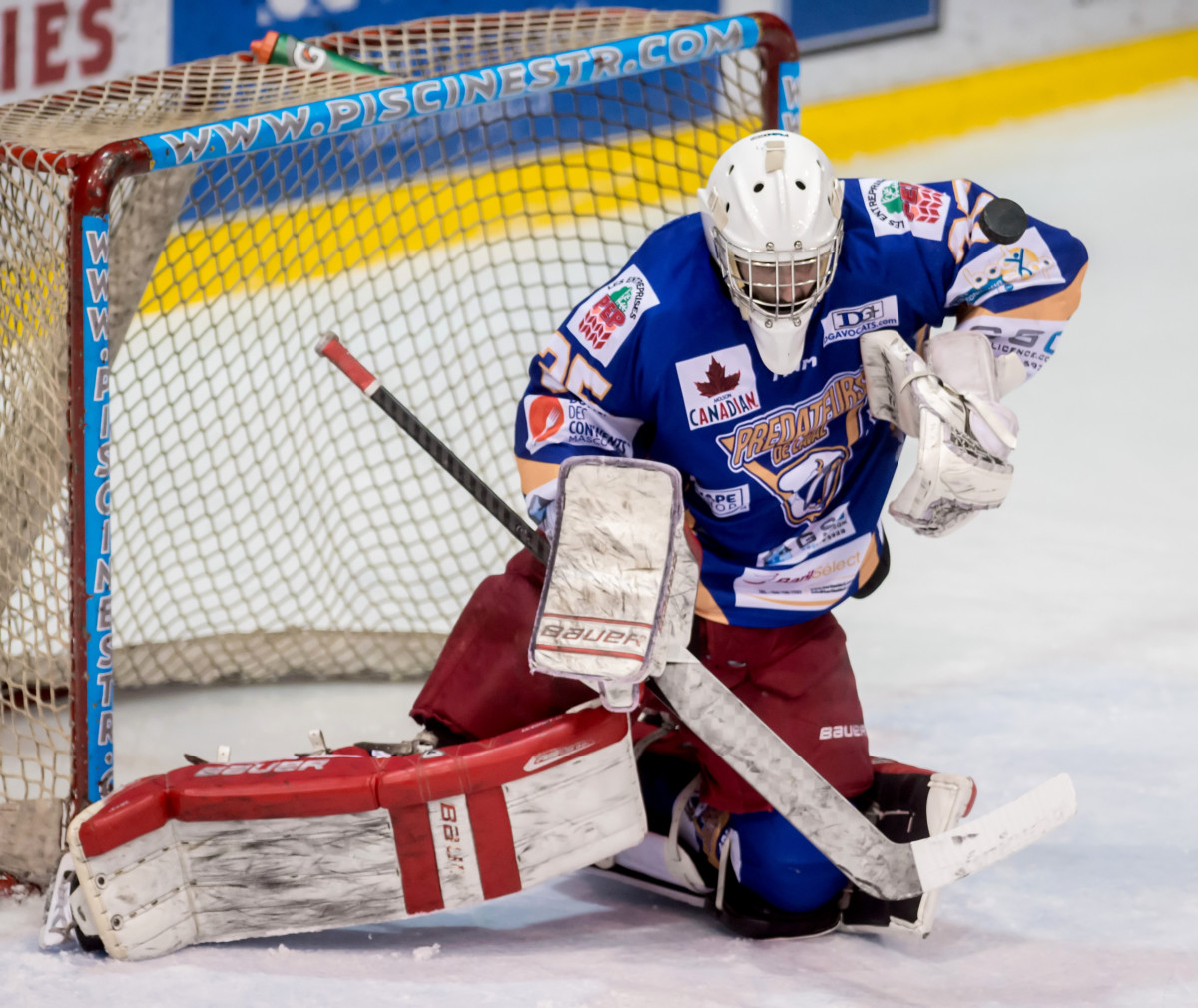 Les Prédateurs transigent - Courrier Laval