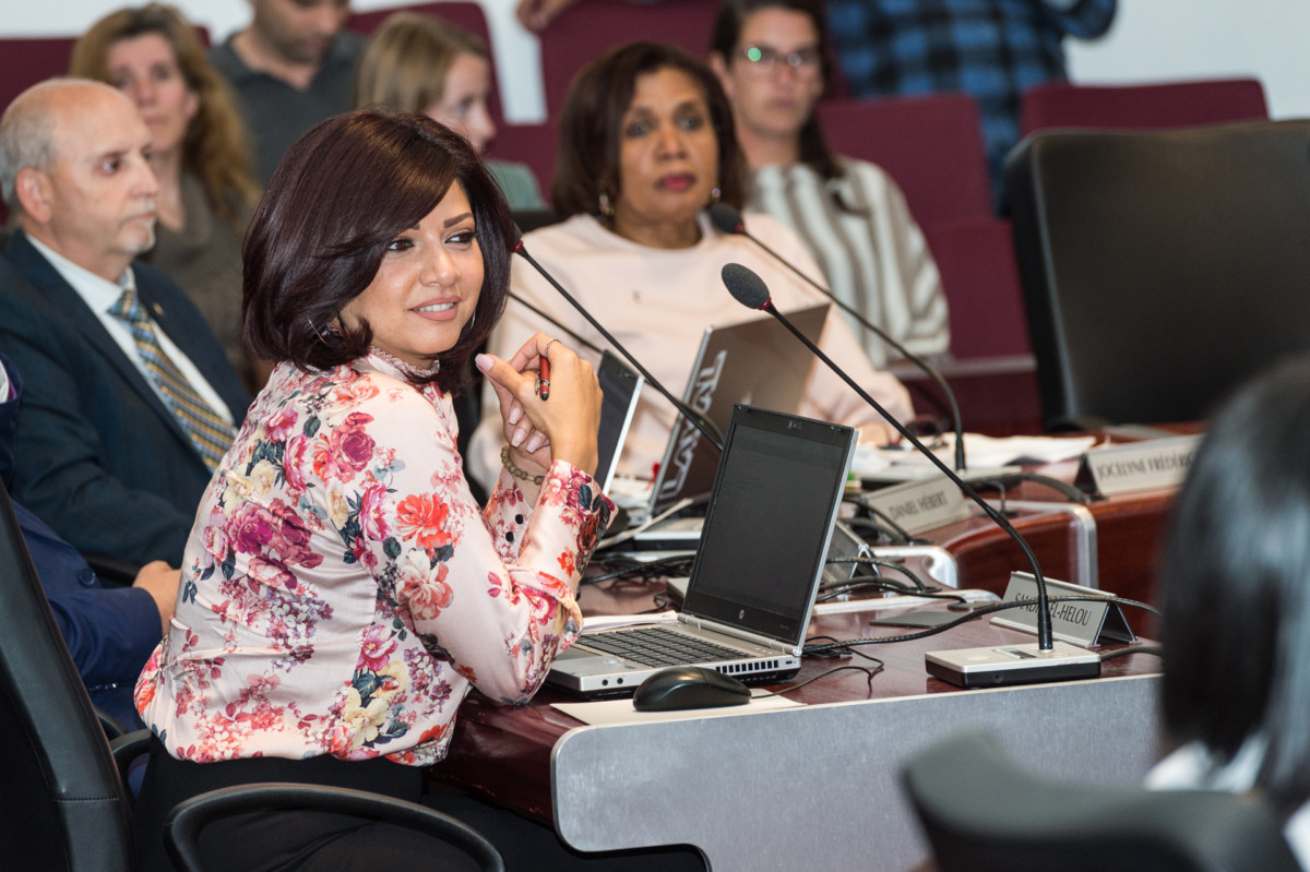 Retour des conseillers Elagoz et El-Helou : majorité pour le maire ...