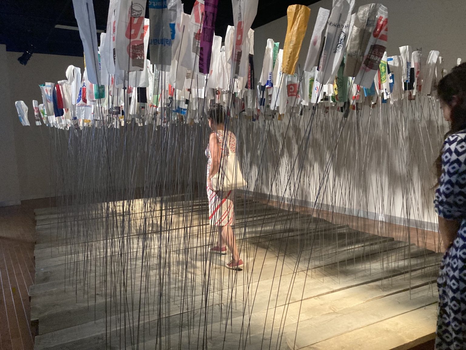 Exposition Triennale Banlieue!: Quand la géographie côtoie les arts - Courrier Laval