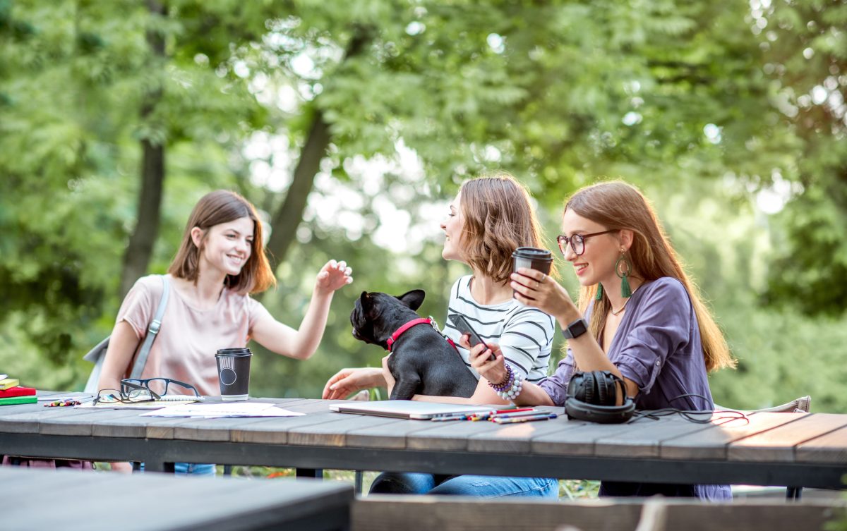 Budget participatif: 10 projets deviendront réalité - Courrier Laval