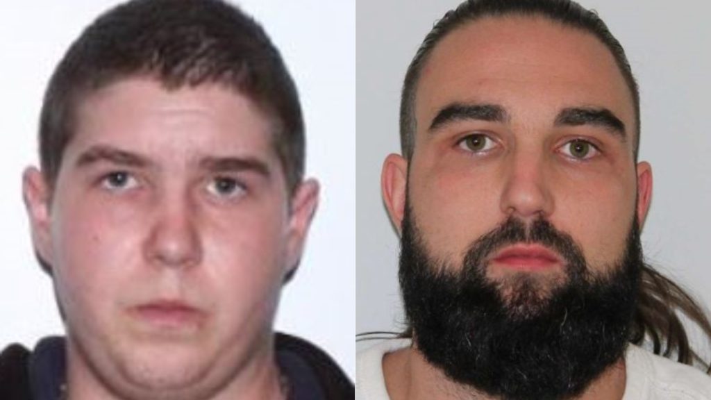 Arrestations, armes et 100 000$ de drogues saisies