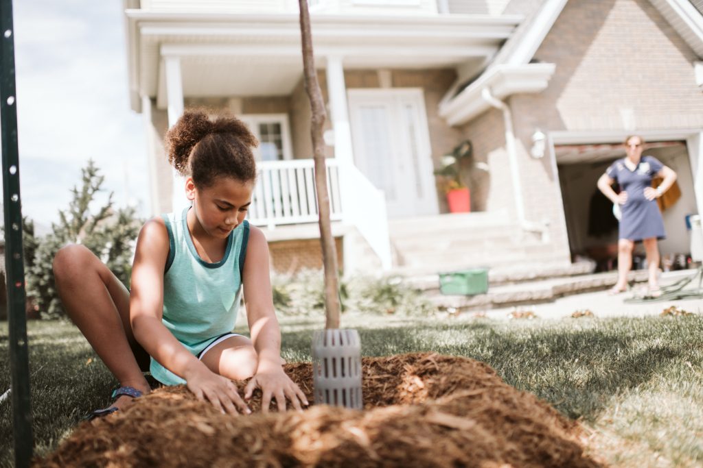 PlantAction reverdit à nouveau Champfleury - Courrier Laval