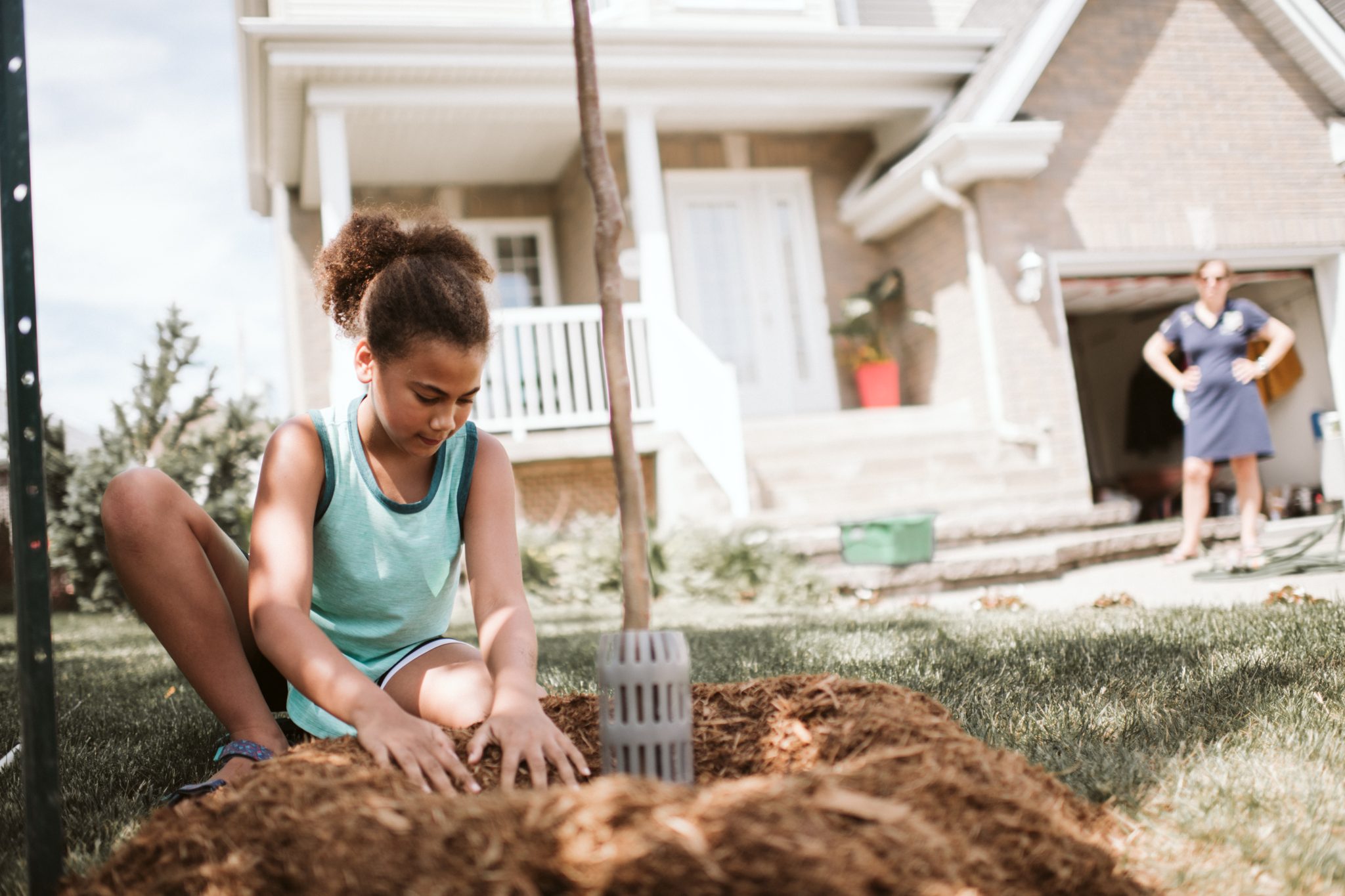 PlantAction reverdit à nouveau Champfleury - Courrier Laval