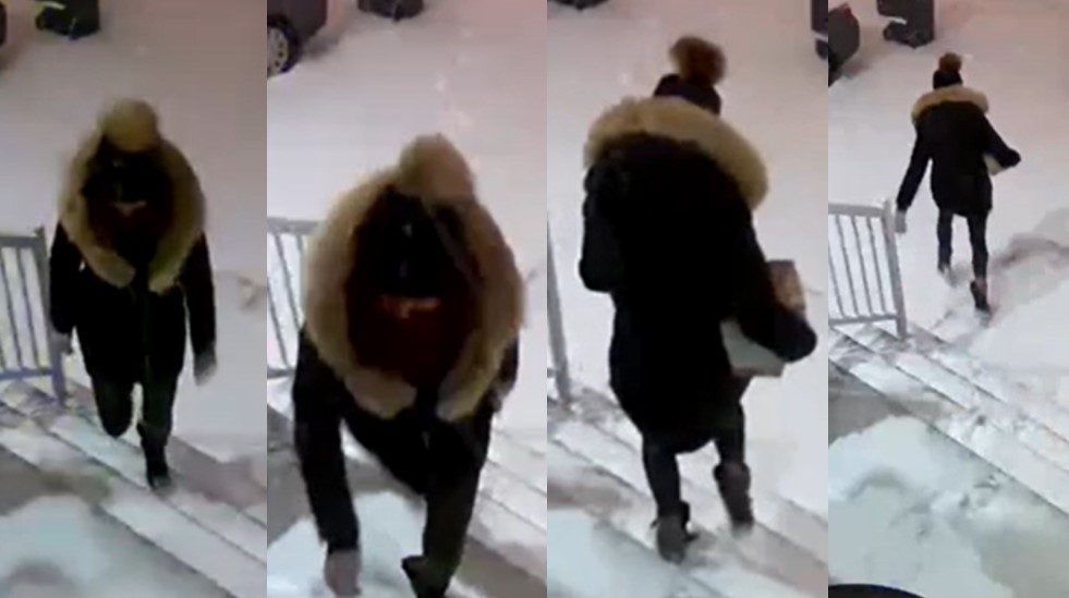 Voleuse de colis filmée en flagrant délit - Courrier Laval