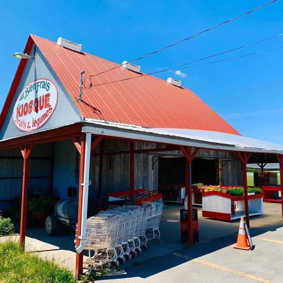 Cinq endroits pour cueillir des fraises à Laval