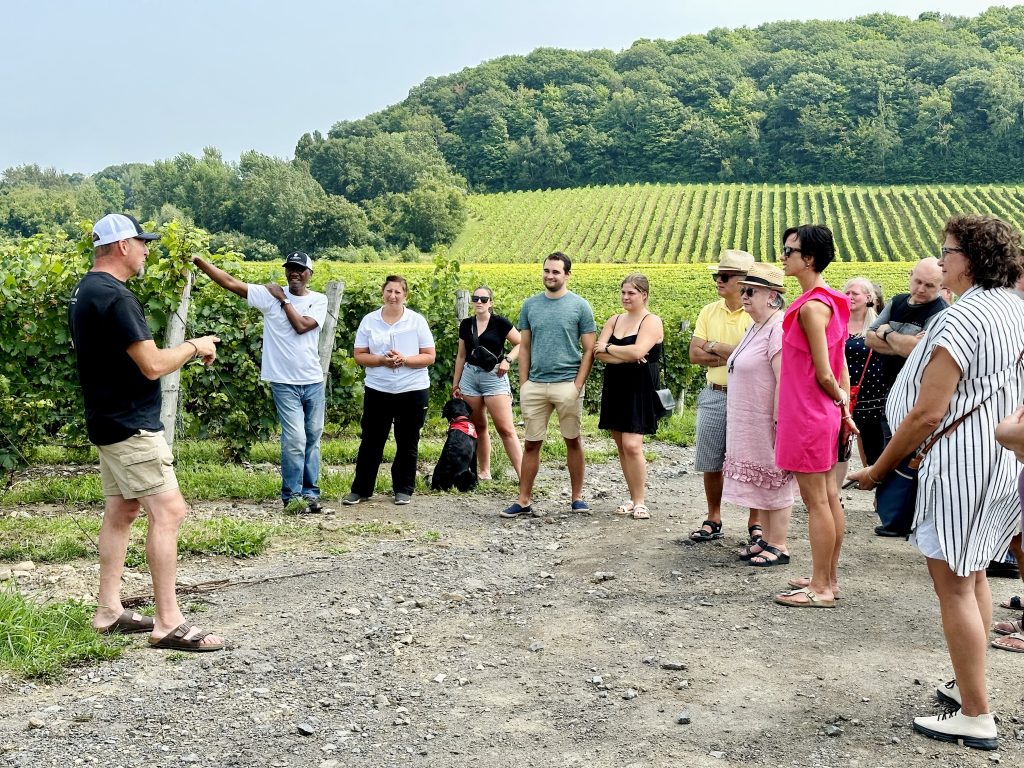 Un nouveau vignoble accueille les visiteurs sur la Rive-Nord