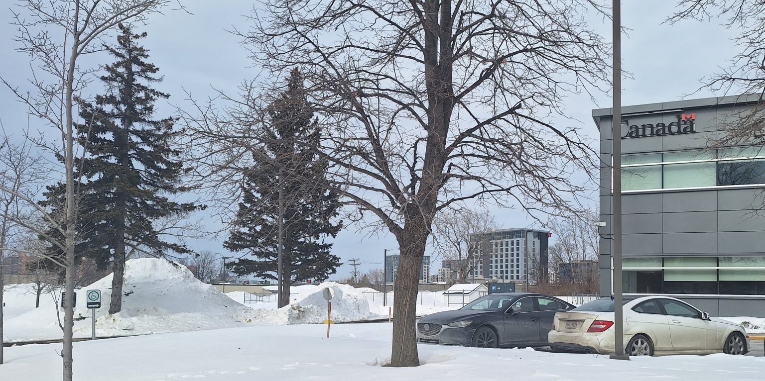 Ottawa libère ce terrain pour du logement abordable dans Chomedey